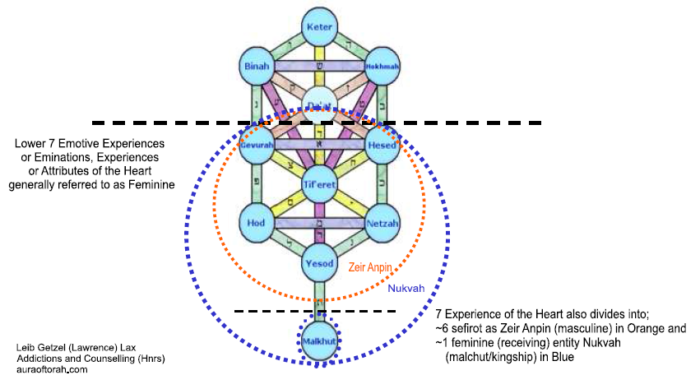 Zeir Anpin – Nukvah: Diagram – Aura of Torah